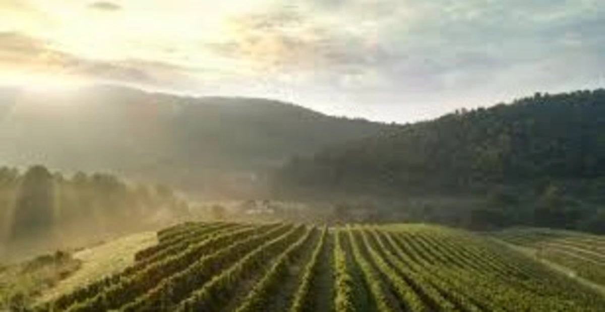 'Fêtes de Genève’ Celebration in Virginia Wine Country | Ecolint Connect